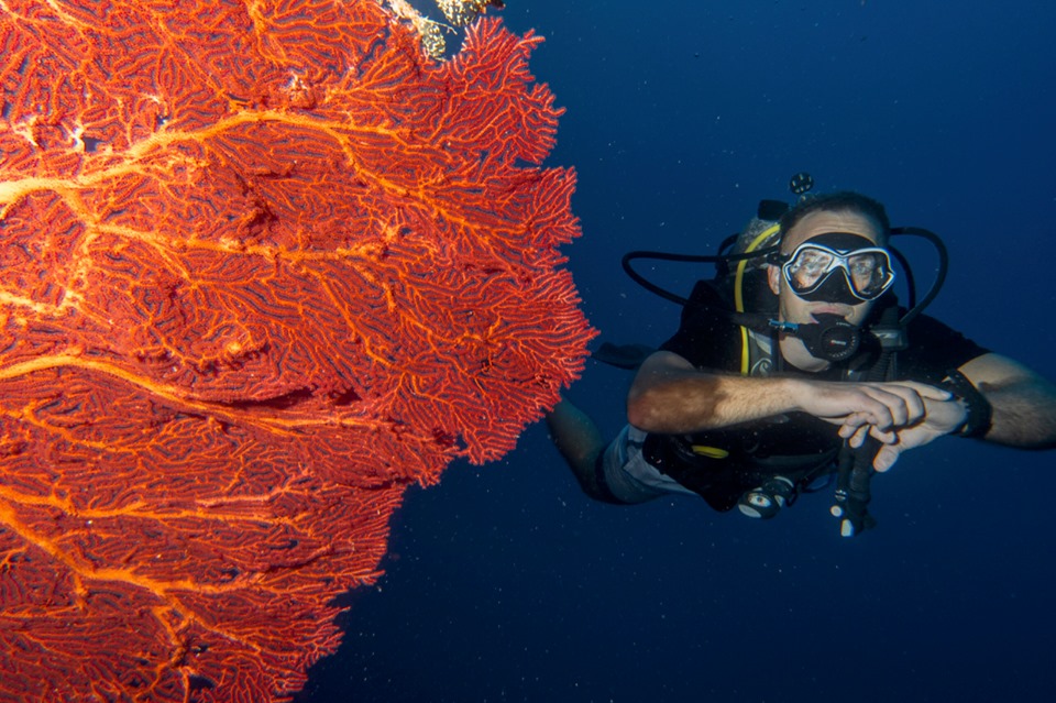 Scuba Diving | Tourism Solomons